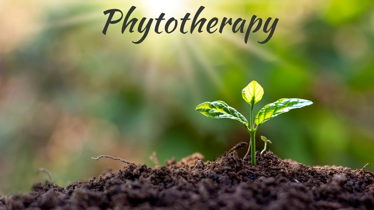 Exploring the Healing Power of Phytotherapy" - YouTube