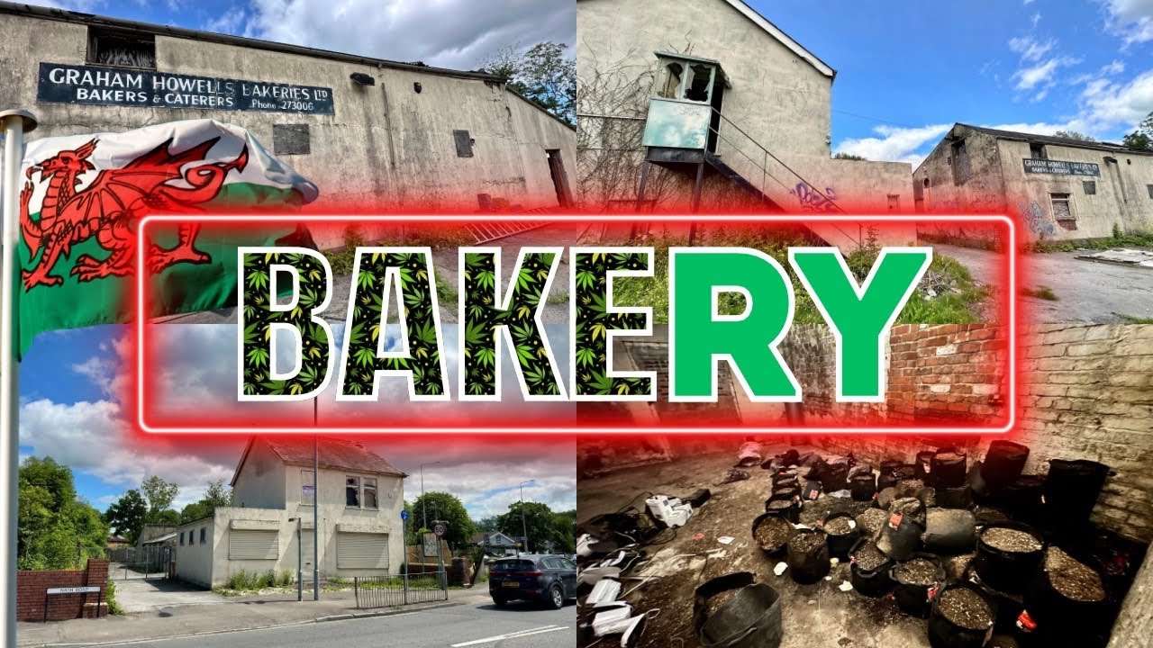 Abandoned Bakery “special cakes🪴 🪴” - YouTube