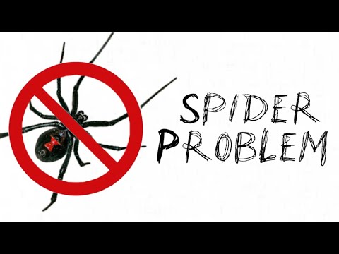 Spider Problem (Short Film) - YouTube