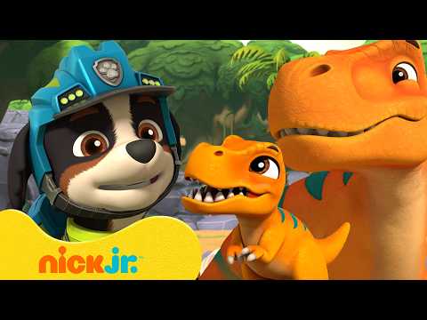 PAW Patrol Rescues Baby Dinosaurs with Rex! 🦖 | Nick Jr.