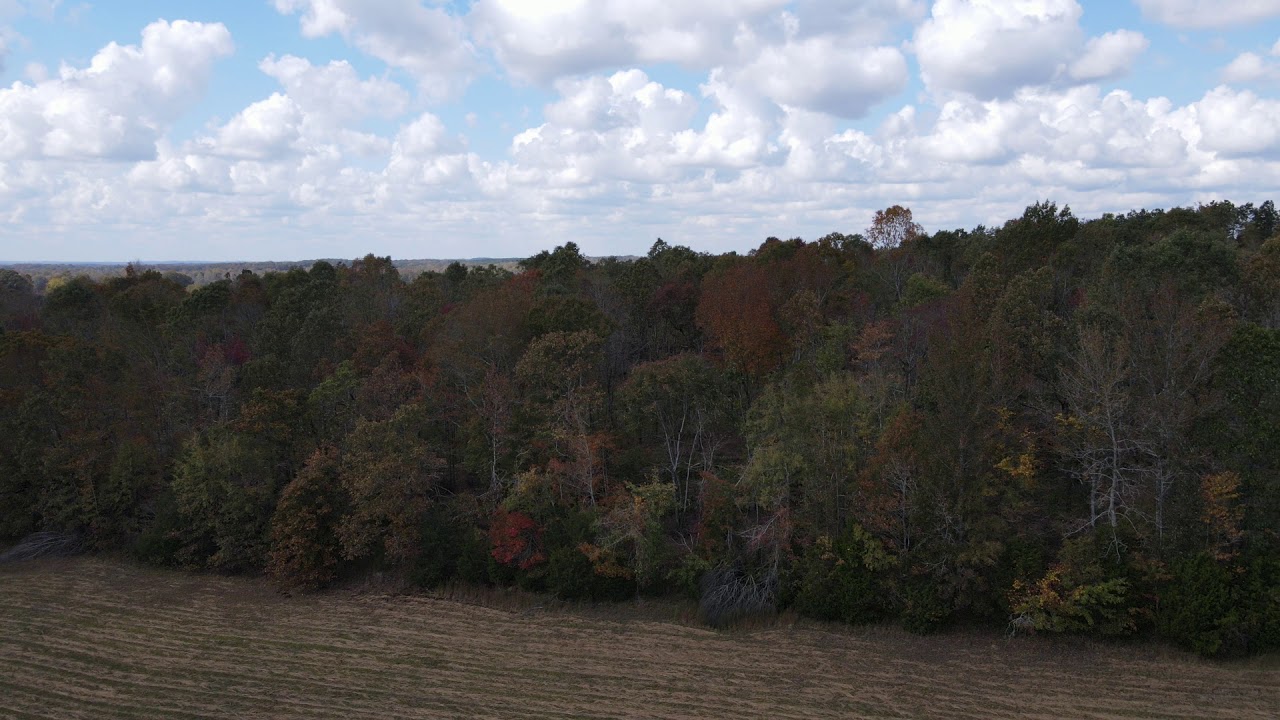 Mills Darden Farm - YouTube