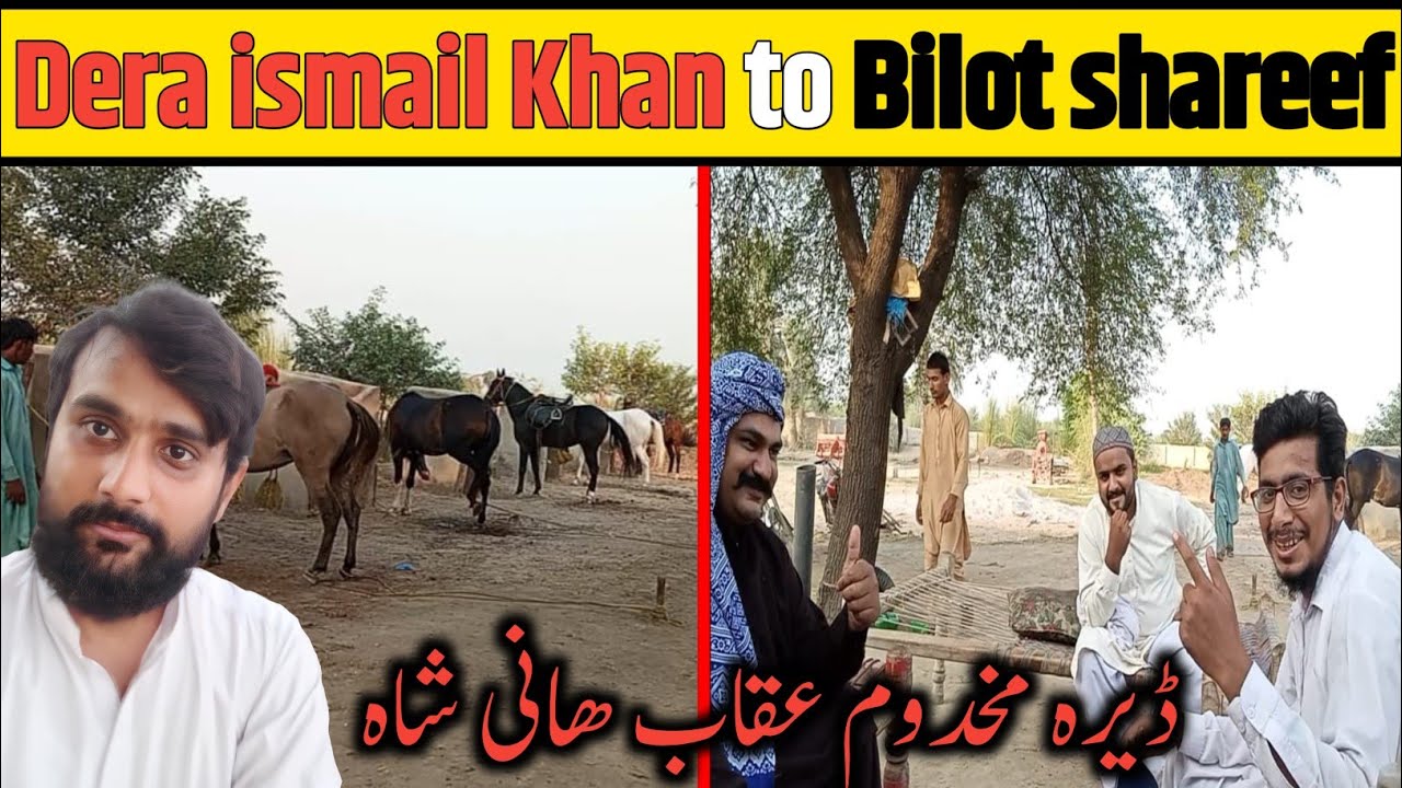 Dera ismail khan to bilot shareef(Dera Makhdoom Hani shah) 🎠🐴🦄 - YouTube