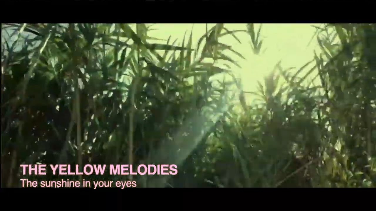 THE YELLOW MELODIES - The sunshine in your eyes [VIDEO CLIP] - YouTube
