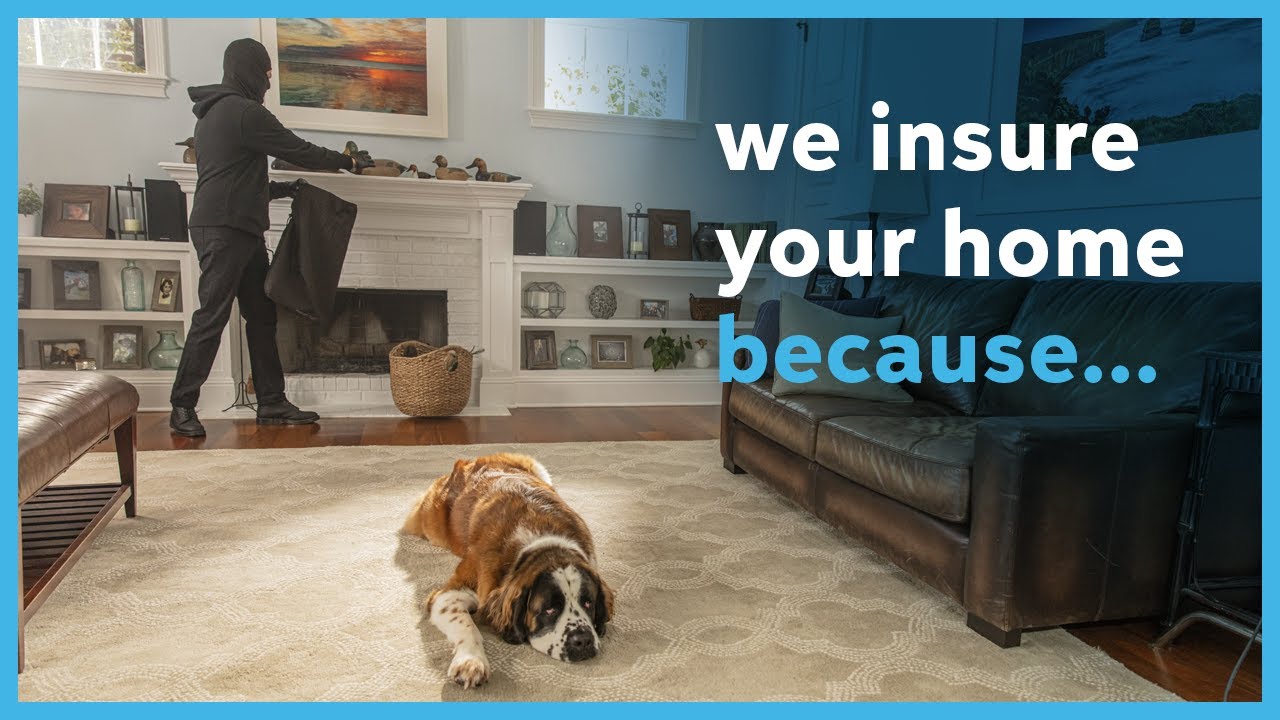 Home Insurance Commercial | Guard Dog Fail | Auto-Owners - YouTube