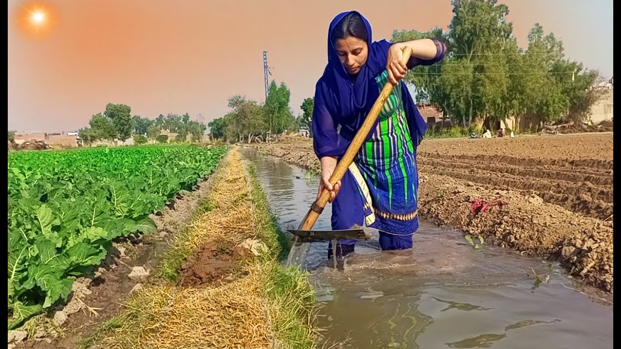 Traditional Work | Desert Village Women | Desert Calture Pakistan ...