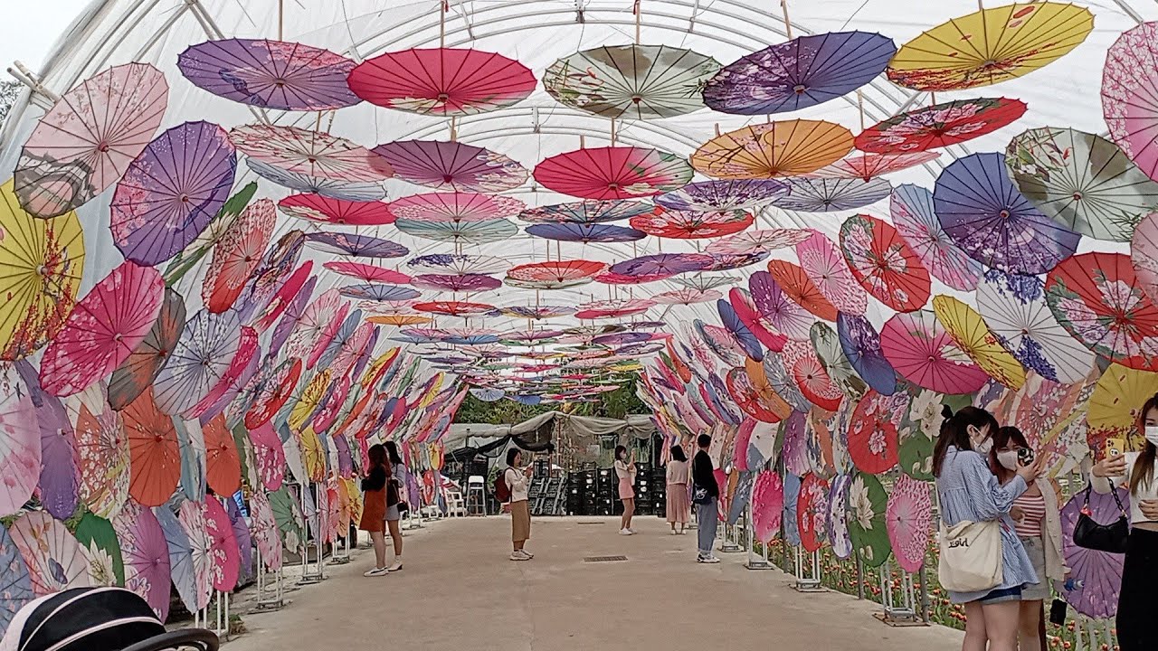 Shun Sum Yuen Farm | Sha Tin, Hong Kong #shunsumyuenfarm # ...
