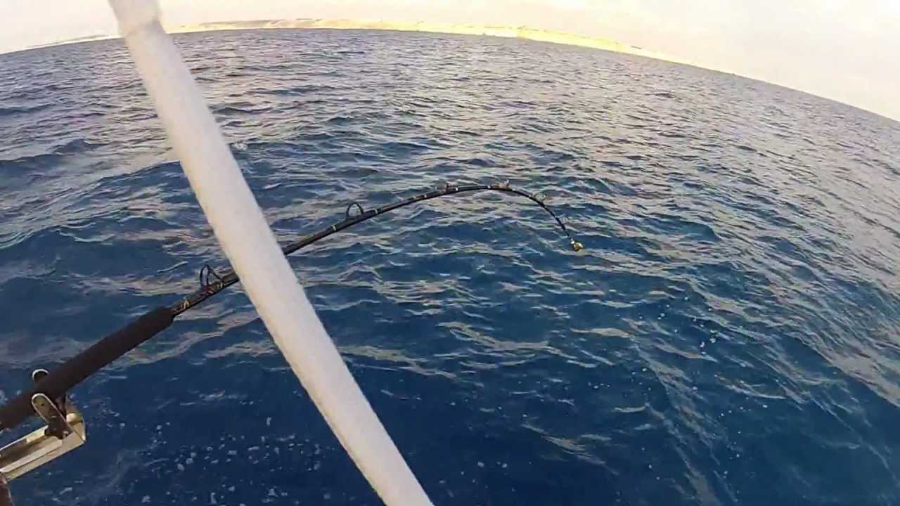 Cyprus Mineri Fishing Part 1 - 35 KG - YouTube