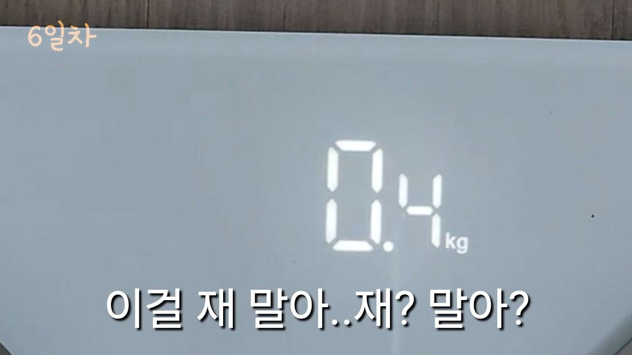 [82kg 다이어트브이로그]자. 이제 누가 잘먹지? - YouTube