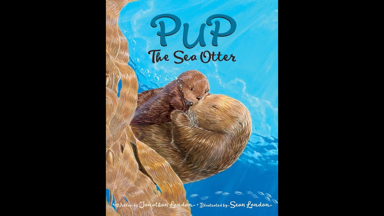 Pup The Sea Otter by Jonathon London - Children's Read Aloud - YouTube
