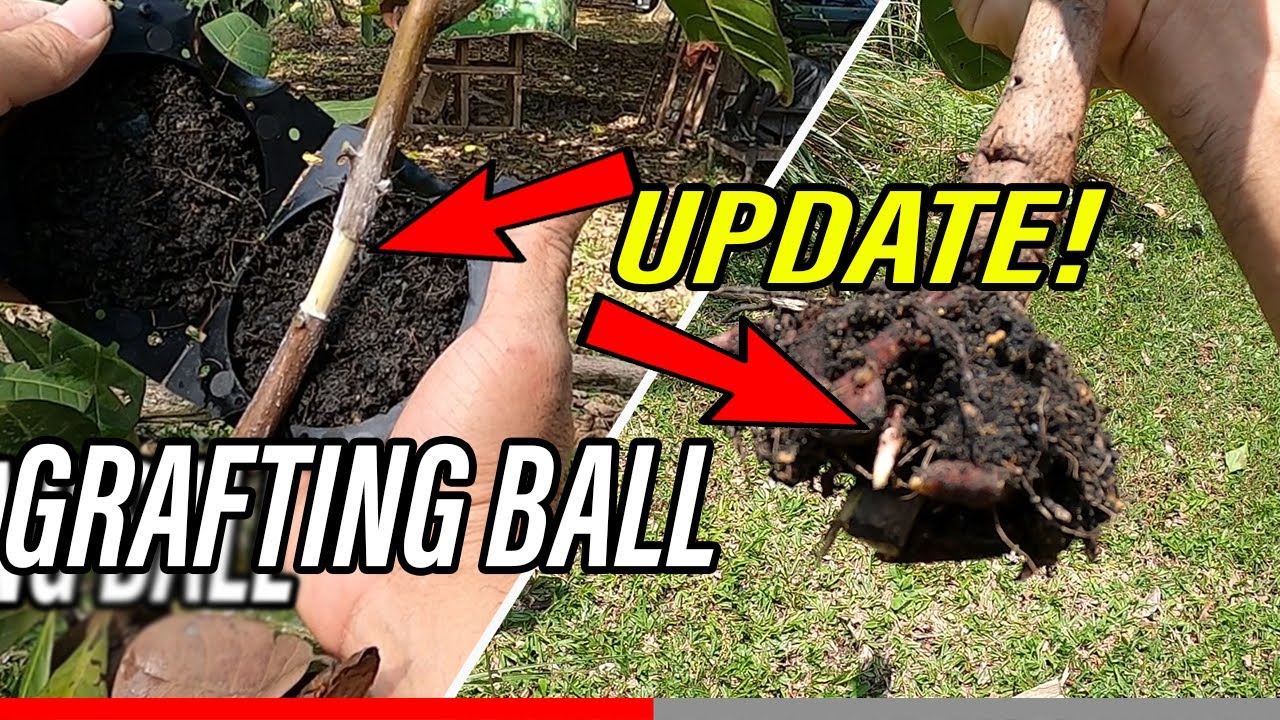 Does it work? Update result Plastic pressure grafting ball for air ...