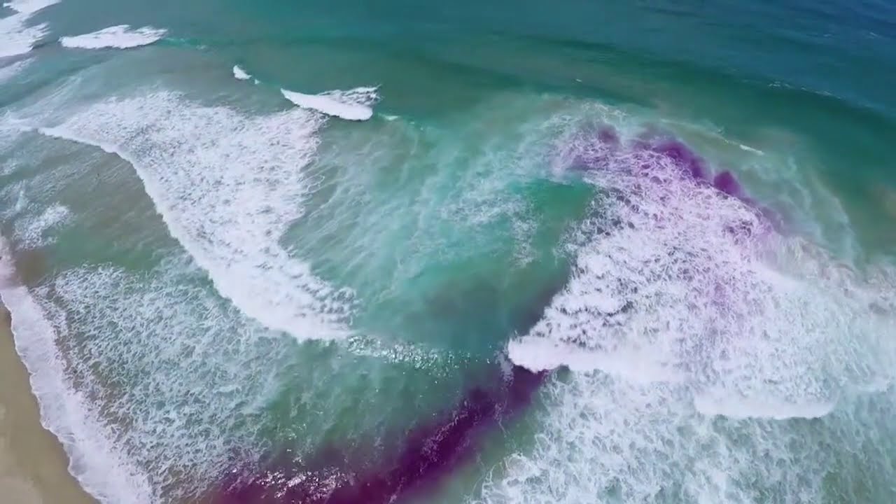 Rip Currents explained - YouTube