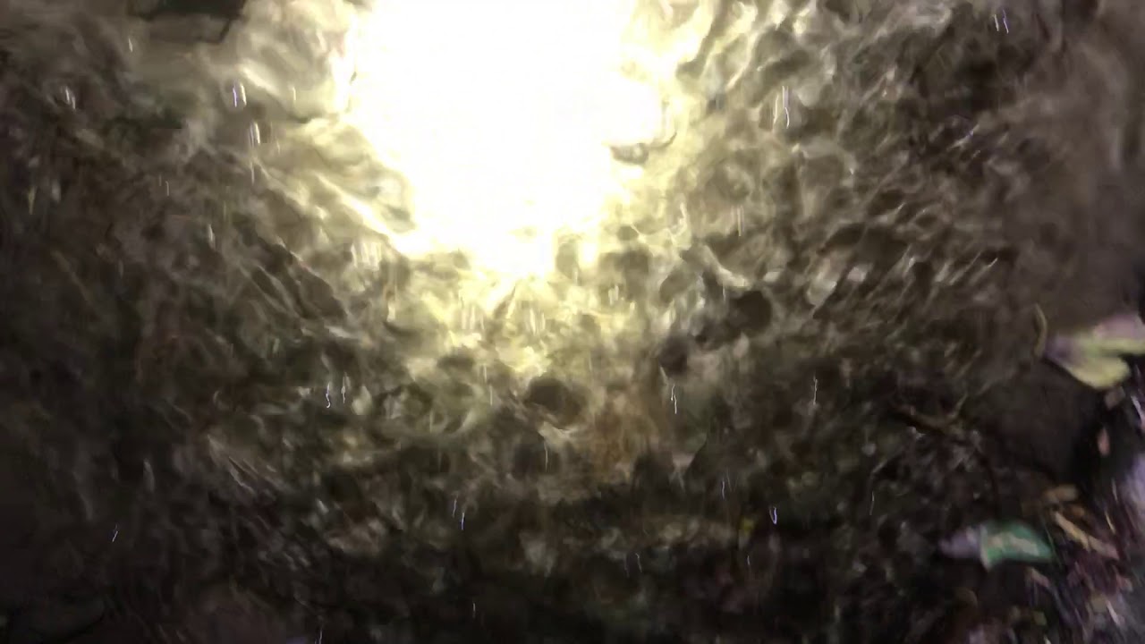 Inanga above 380m culvert fitted with flexi baffles - YouTube