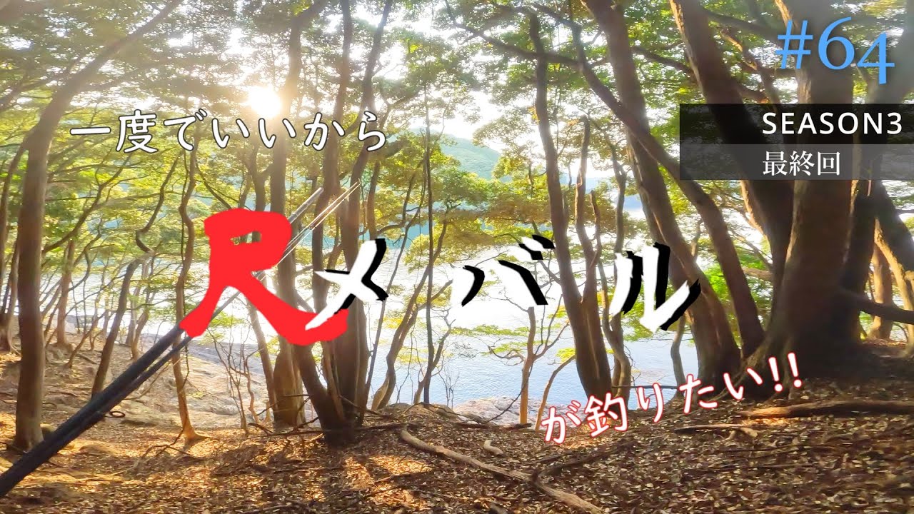 【尺メバルの潜む場所】一度でいいから尺メバルが釣りたい!!#64【メバリング SEASON3 最終回】 - YouTube