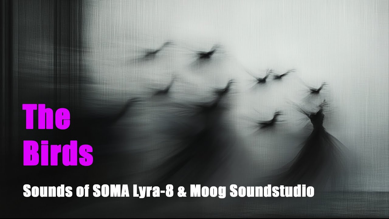The Birds - Sounds of SOMA Lyra-8 and MOOG Soundstudio - YouTube