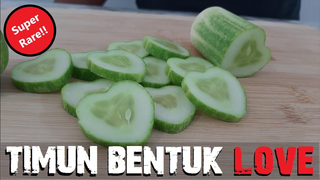 LOVE Shape Cucumber - Timun Bentuk Love - Timun Paling Rare!!! - YouTube