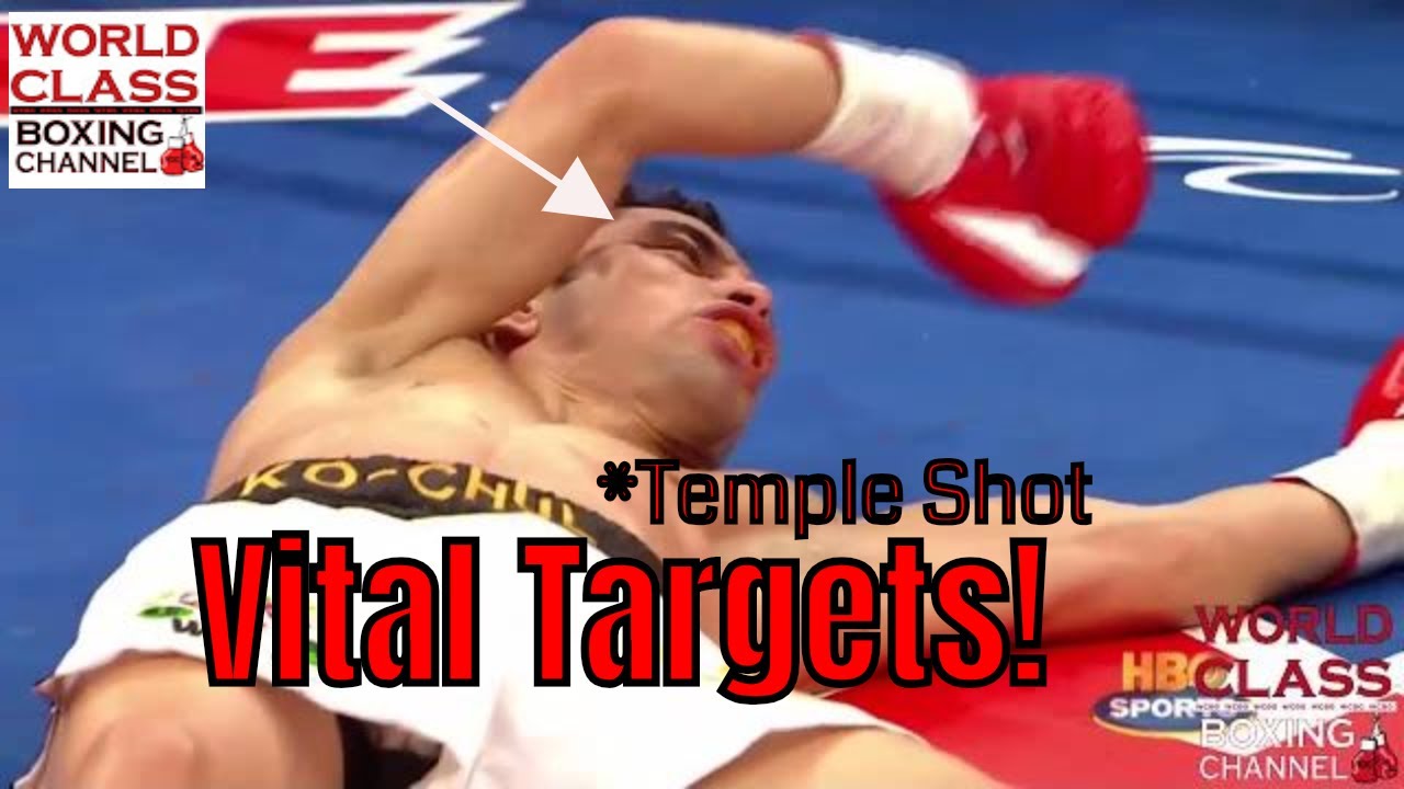 Vital Targets | Video Series | The Temple Shot - YouTube