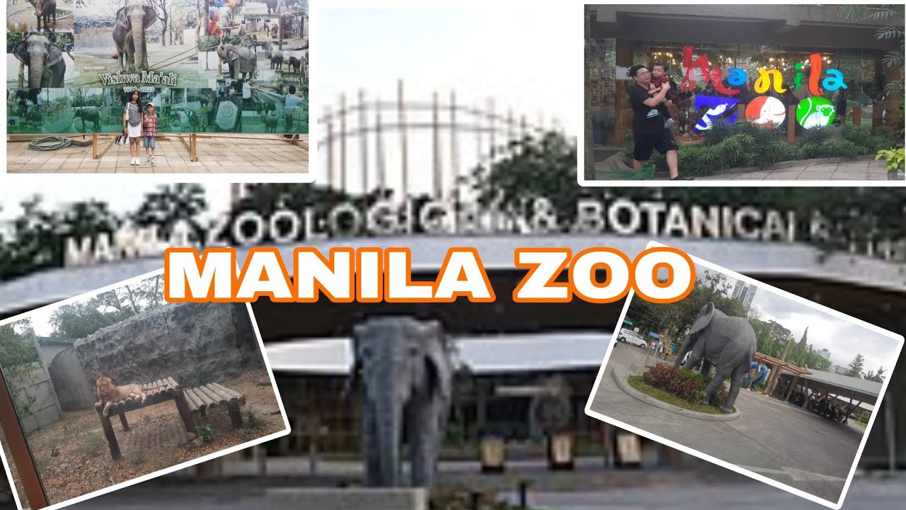 MANILA ZOO | Zoological and Botanical Garden | NEW MANILA ZOO | - YouTube