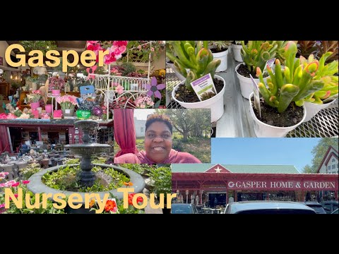 Nursery Tour & Plant Shopping Part 2 | Gasper April 2024 - YouTube