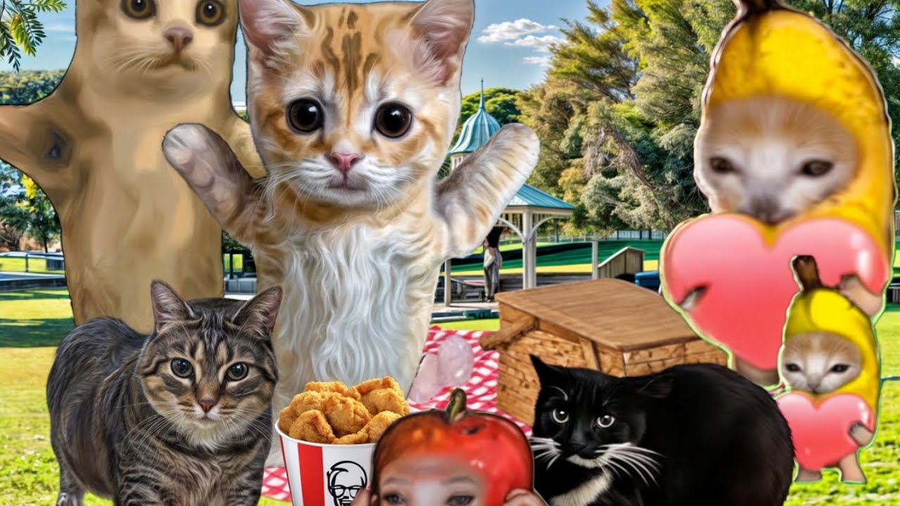 Baby Banana Cat Compilation 😺 ️ 2 Minutes #30 - YouTube