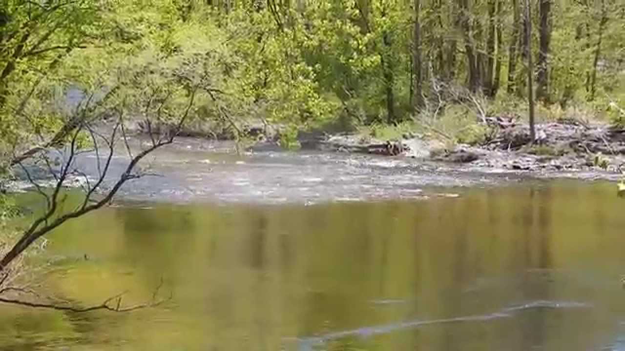 Battenkill in Arlington, VT - YouTube