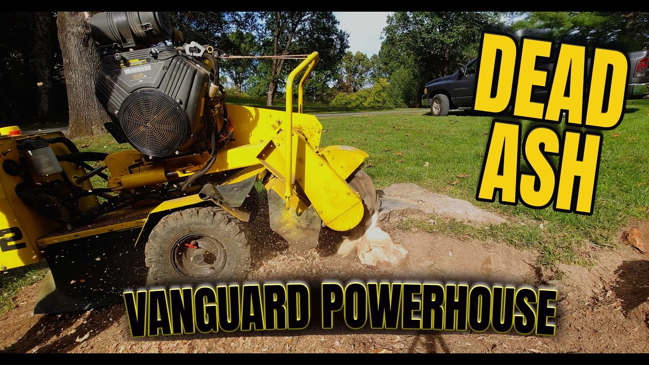 Vanguard engine destroys ASH stump. - YouTube
