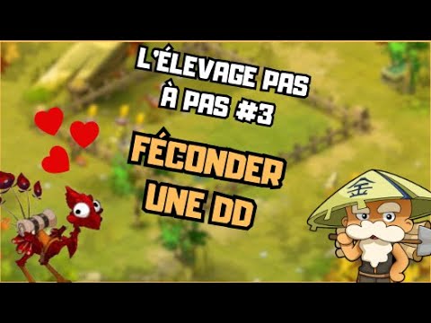 L'ÉLEVAGE PAS À PAS #3 RENDRE UNE DRAGODINDE FÉCONDE ET LA FAIRE ...