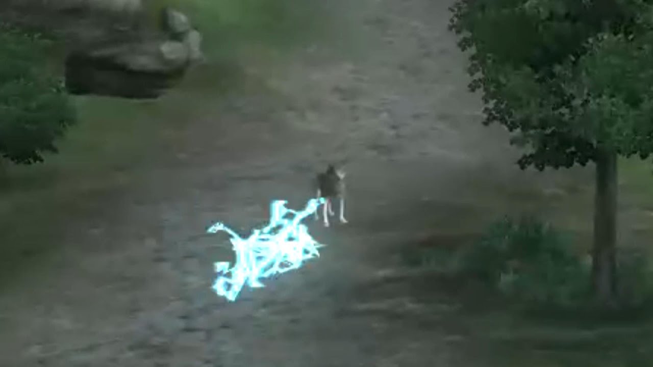 Oblivion space wolf program - YouTube