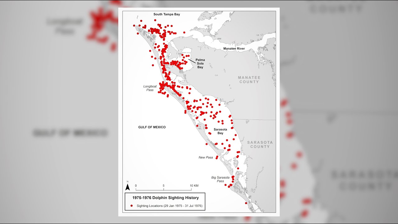 Dolphin Ranging Patterns: Fun with Maps - YouTube