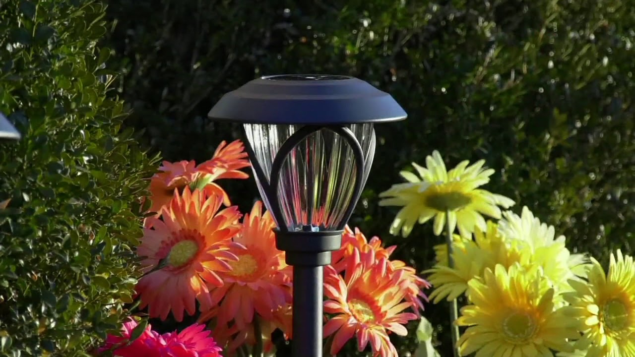 Paradise 8-piece Deco Solar Landscape Light Set on QVC - YouTube