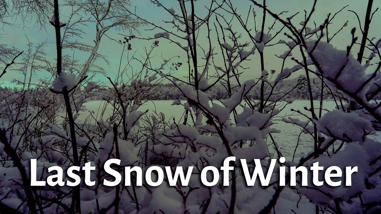 Last Snow of Winter - Early morning in very early spring saying goodbye ...