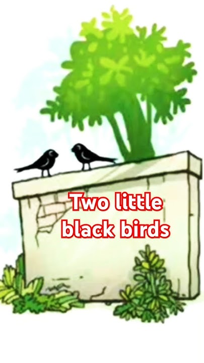 Two little black birds #sorts #YouTube shorts #cute baby #for you - YouTube