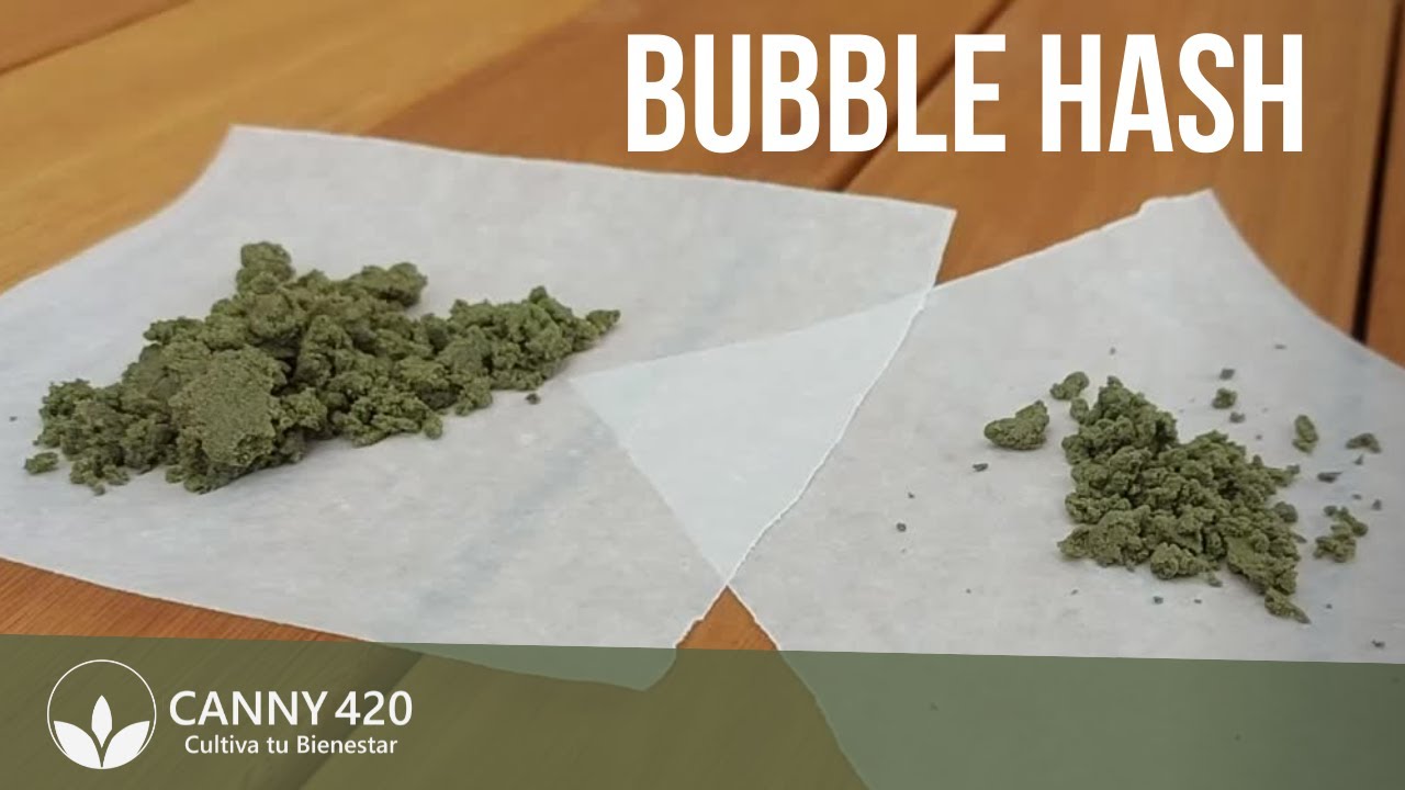 ¿Cómo hacer Bubble Hash? - YouTube
