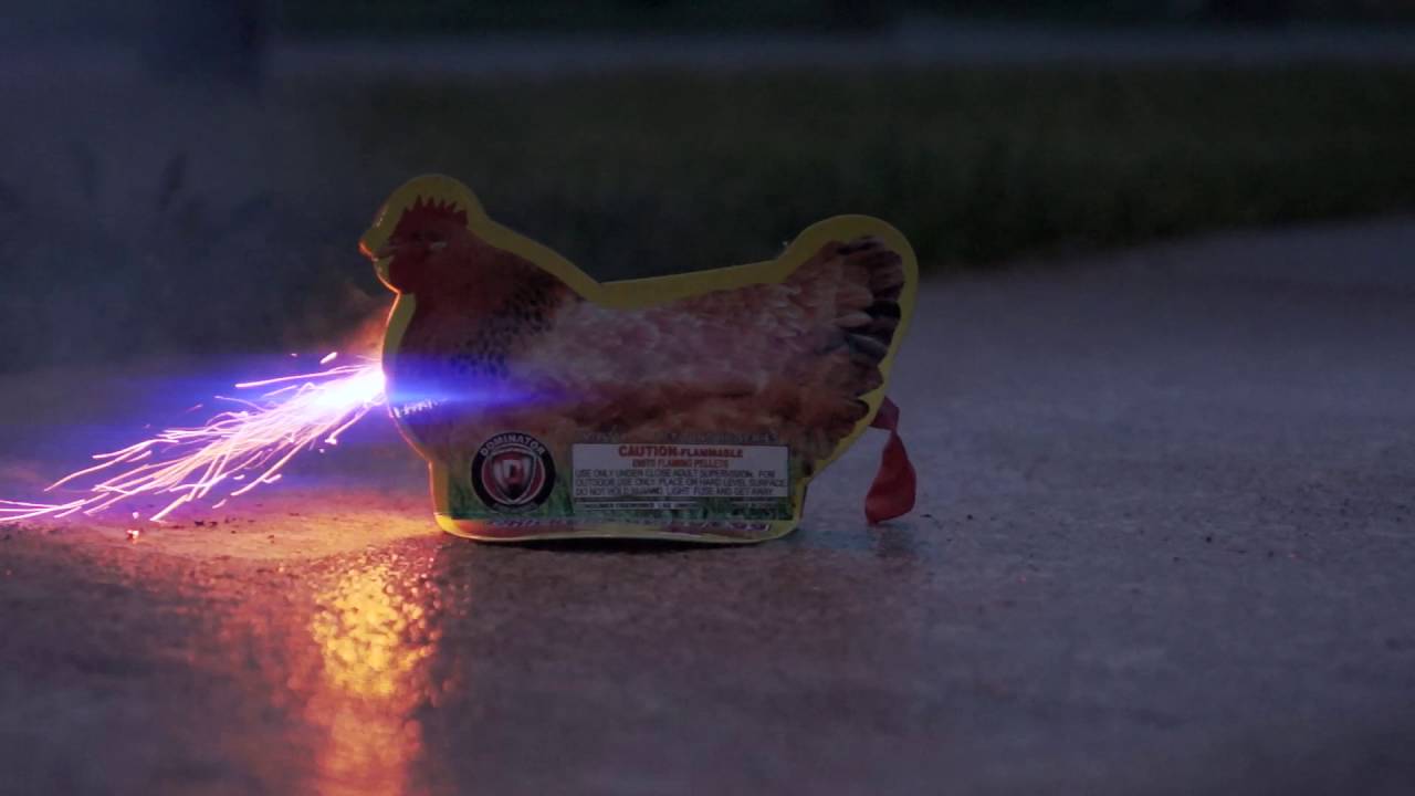 Hen Lays An Egg Firework - YouTube