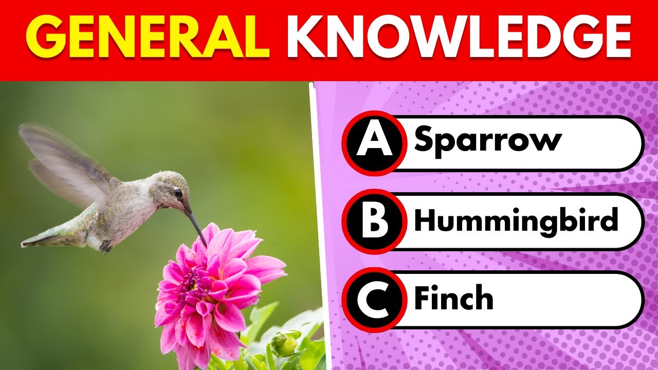 30 General Knowledge Trivia Quiz How Good is Your General Knowledge 🤓 # ...