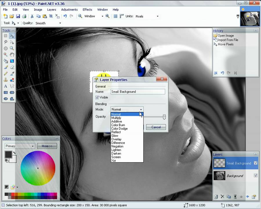 Paint Net tutorial. Import file. - YouTube