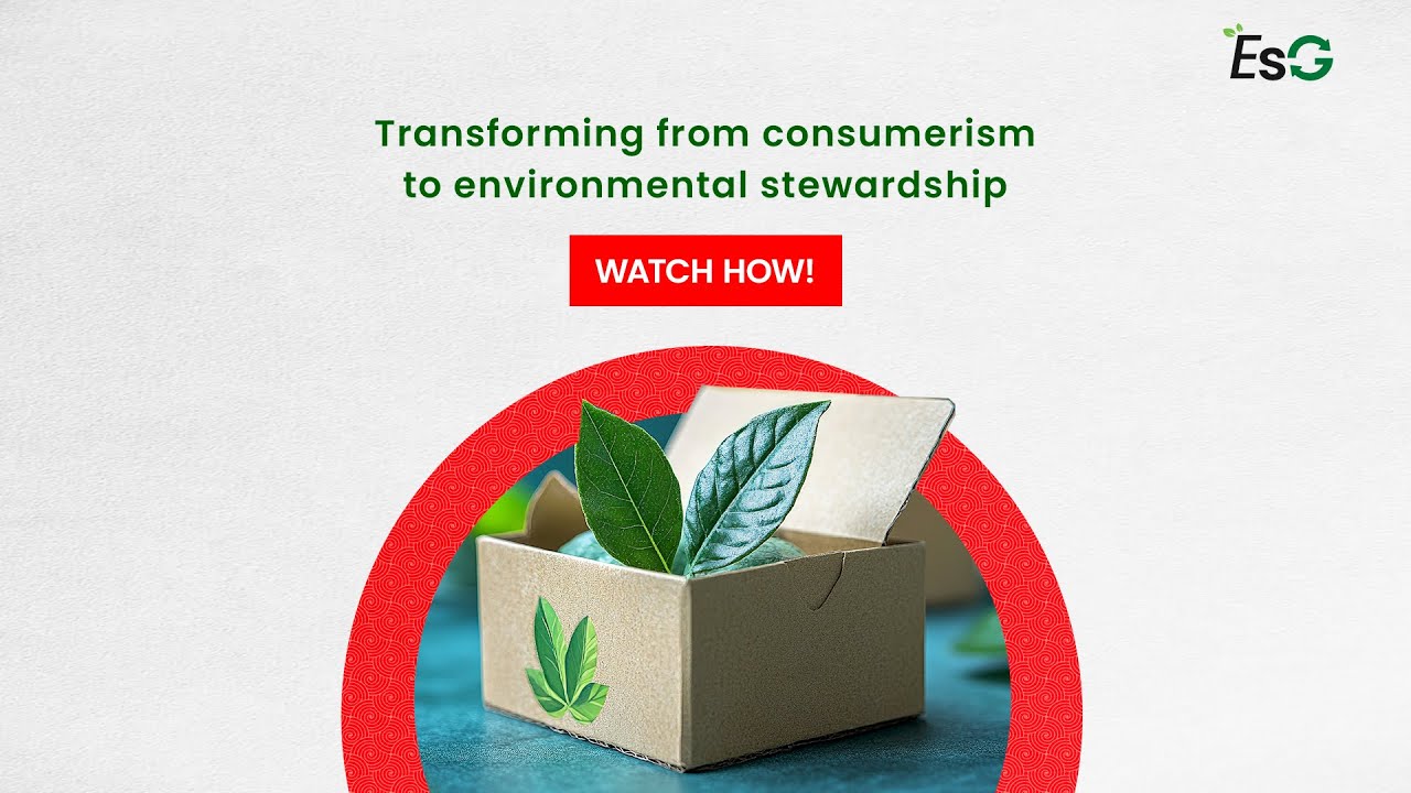 An FMCG is Transforming From Consumerism to Environmental Stewardship ...