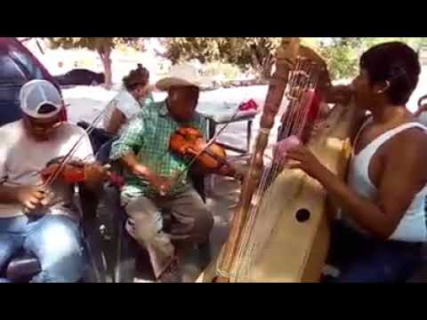 Son de Pascola, Mamyasiali (Chichiquelite verde). - YouTube