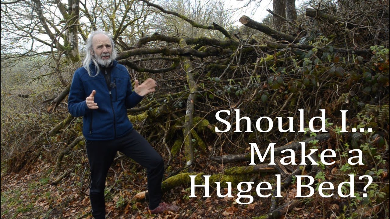 Should I.... make a hugel (hugelkultur) grow bed in my vegetable garden ...