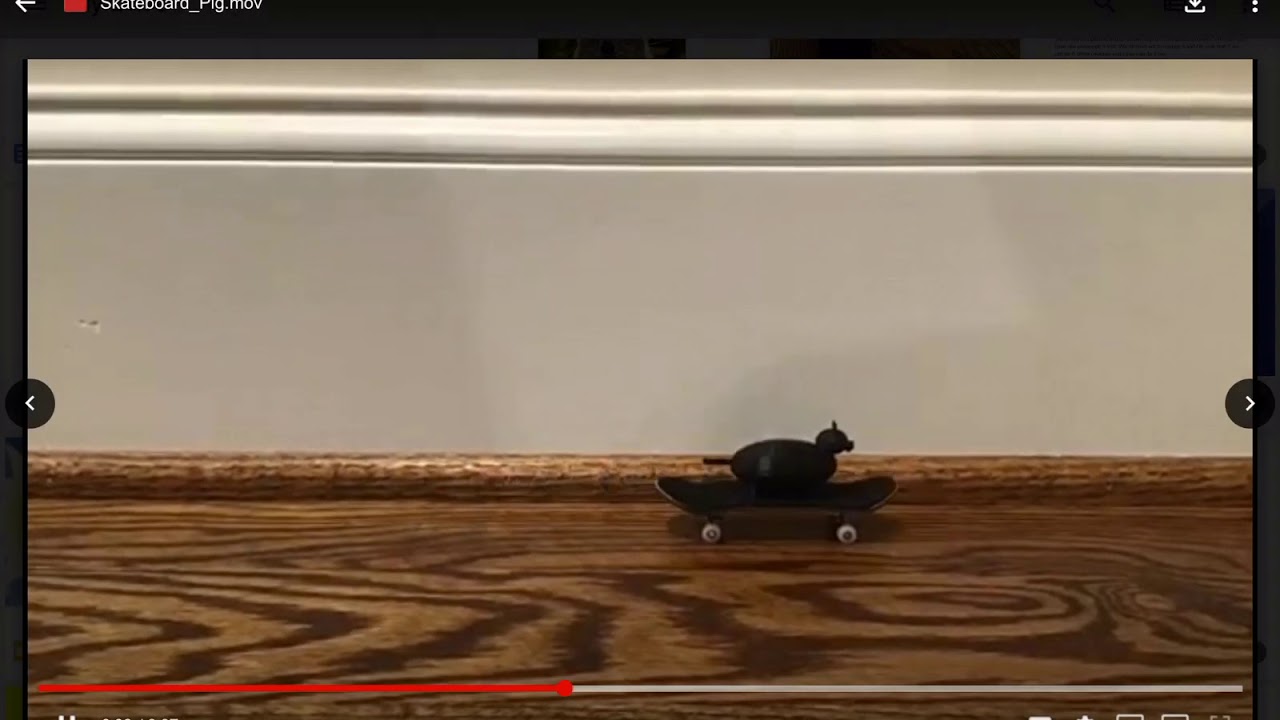 Skateboard Pig: A Stop Motion Animation - YouTube