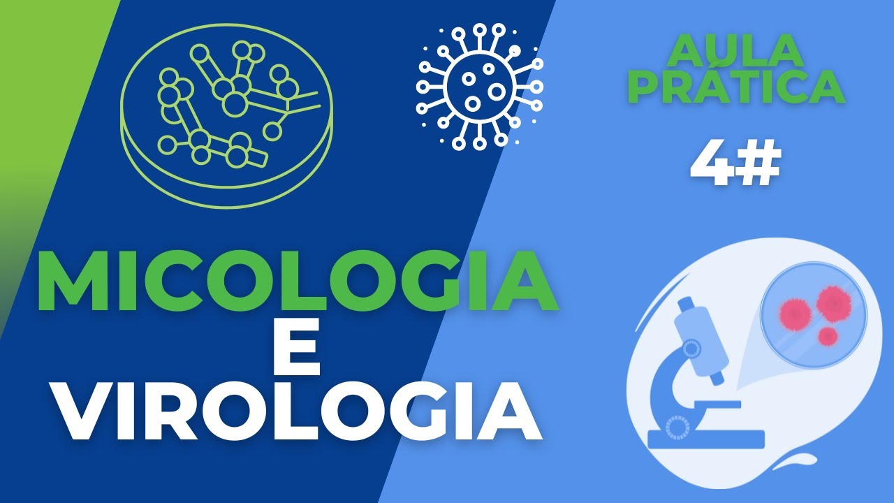 Micologia e Virologia - AULA PRÁTICA 4 - YouTube