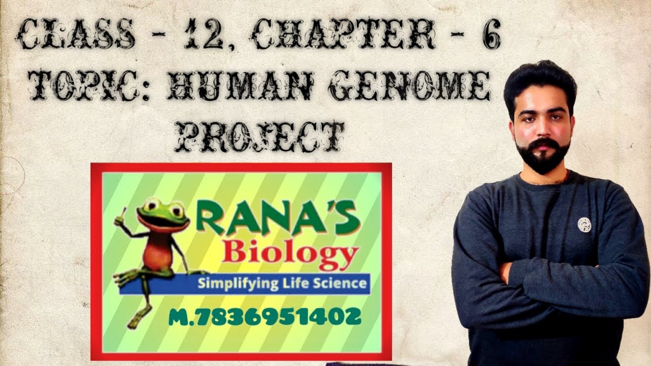 CLASS 12 BIOLOGY CHAP-6 MOLECULAR BASIS OF INHERITANCE (HUMAN GENOME ...