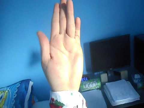 The Best Pals Hand Show: Oakley's First Vacation! - Miley and Mabel ...