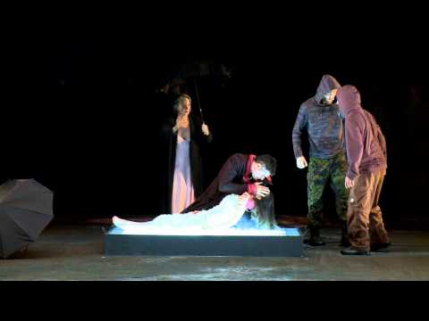 HAMLET - 2013 (Thiago Lacerda)