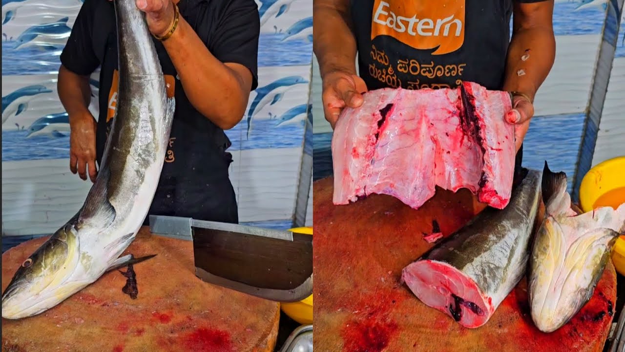 king fish മോദ മീൻ kadal varal!! sagar fish world hoodi Bangalore ...