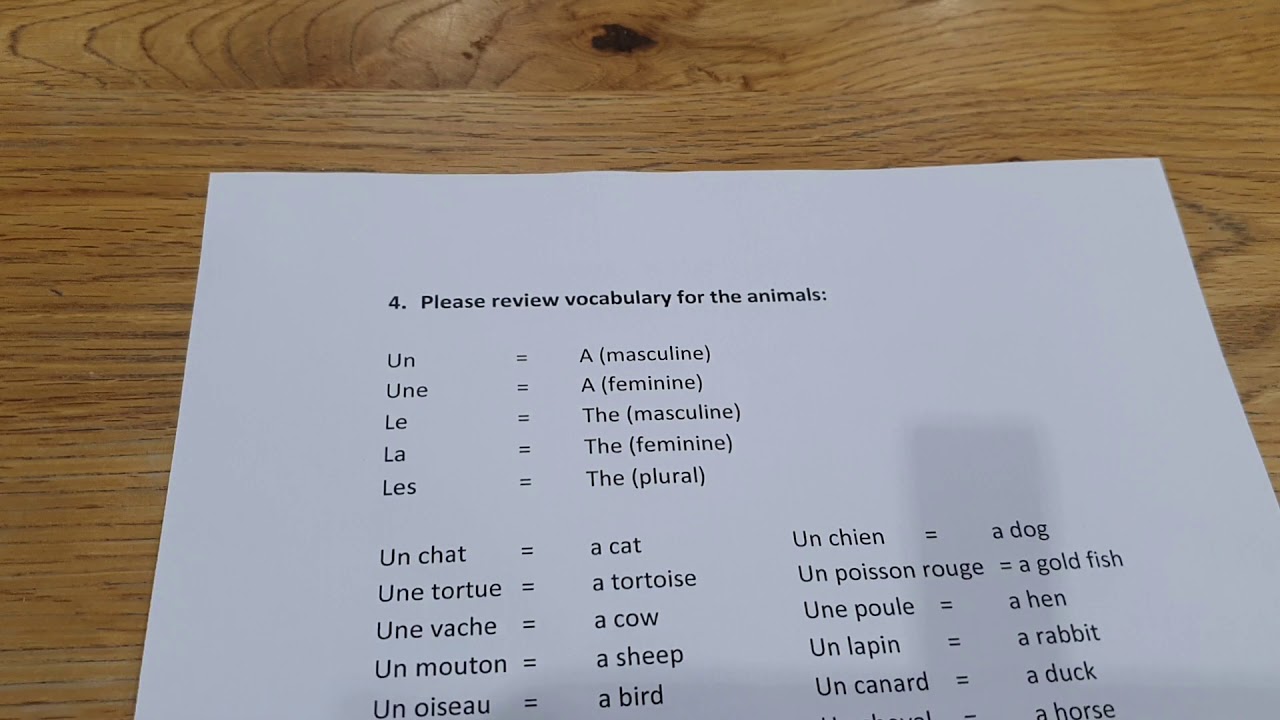 French Revision sheet - Upper Prep Mid Year 2020 - YouTube