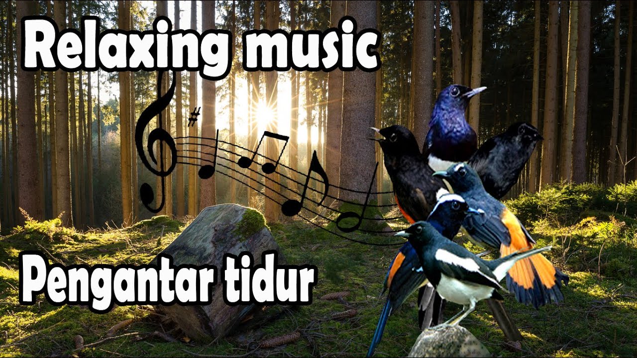 Musik Relaksasi, relaxing music, water sound and bird sound piano music ...