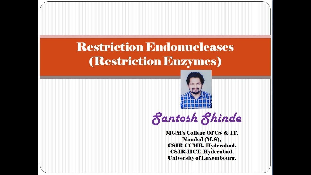 Restriction Enzymes | Enzyme Activity | Part 2 - YouTube