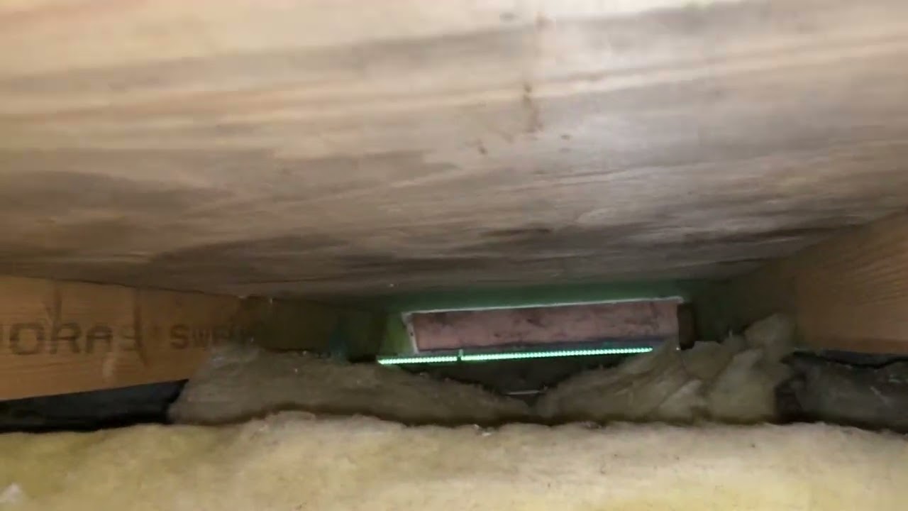 Black mould in loft - YouTube