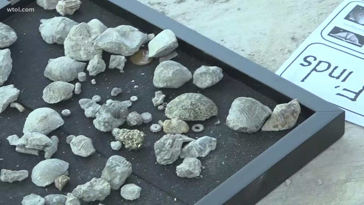 Hands-on history: Fossil Park offers chance to take home relics of ...
