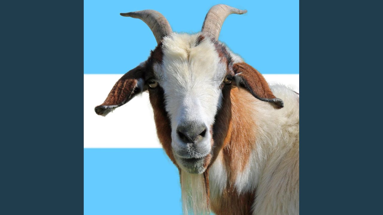 Goat Debate - YouTube